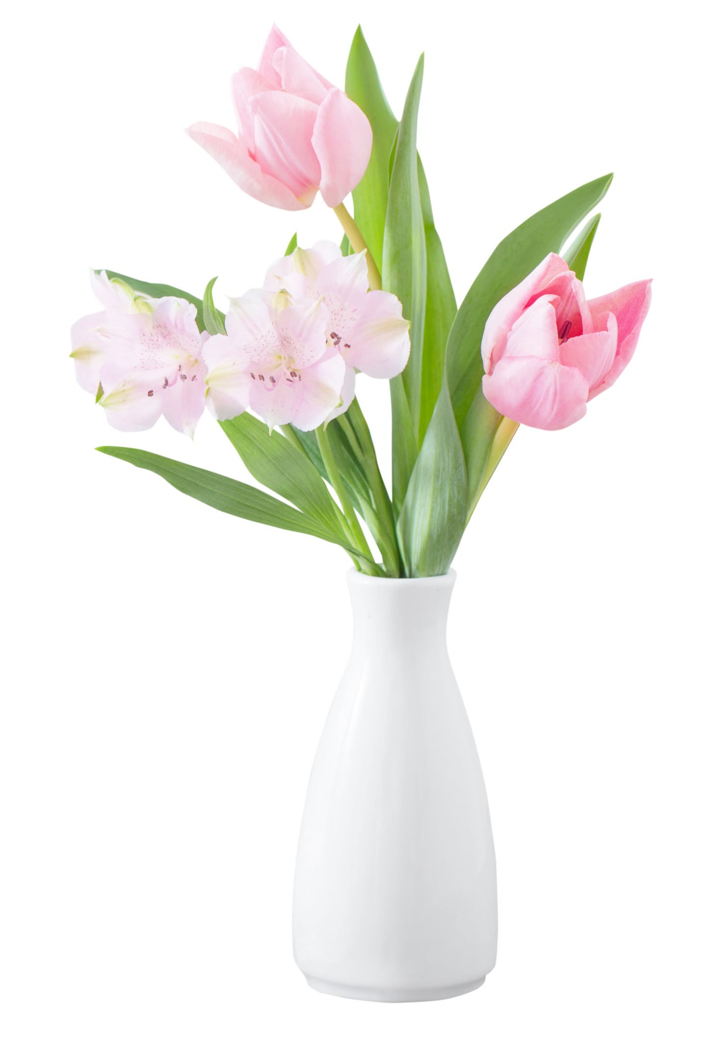 Team - Dr Julia Milman's